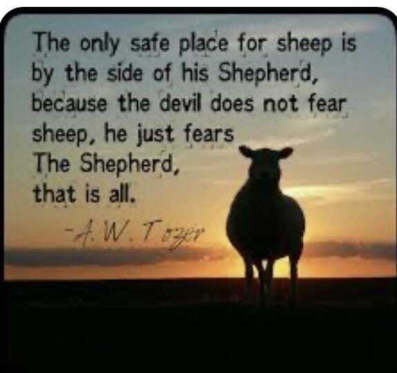 The Need for a Shepherd – From the Edges – Thoughts from the Edges