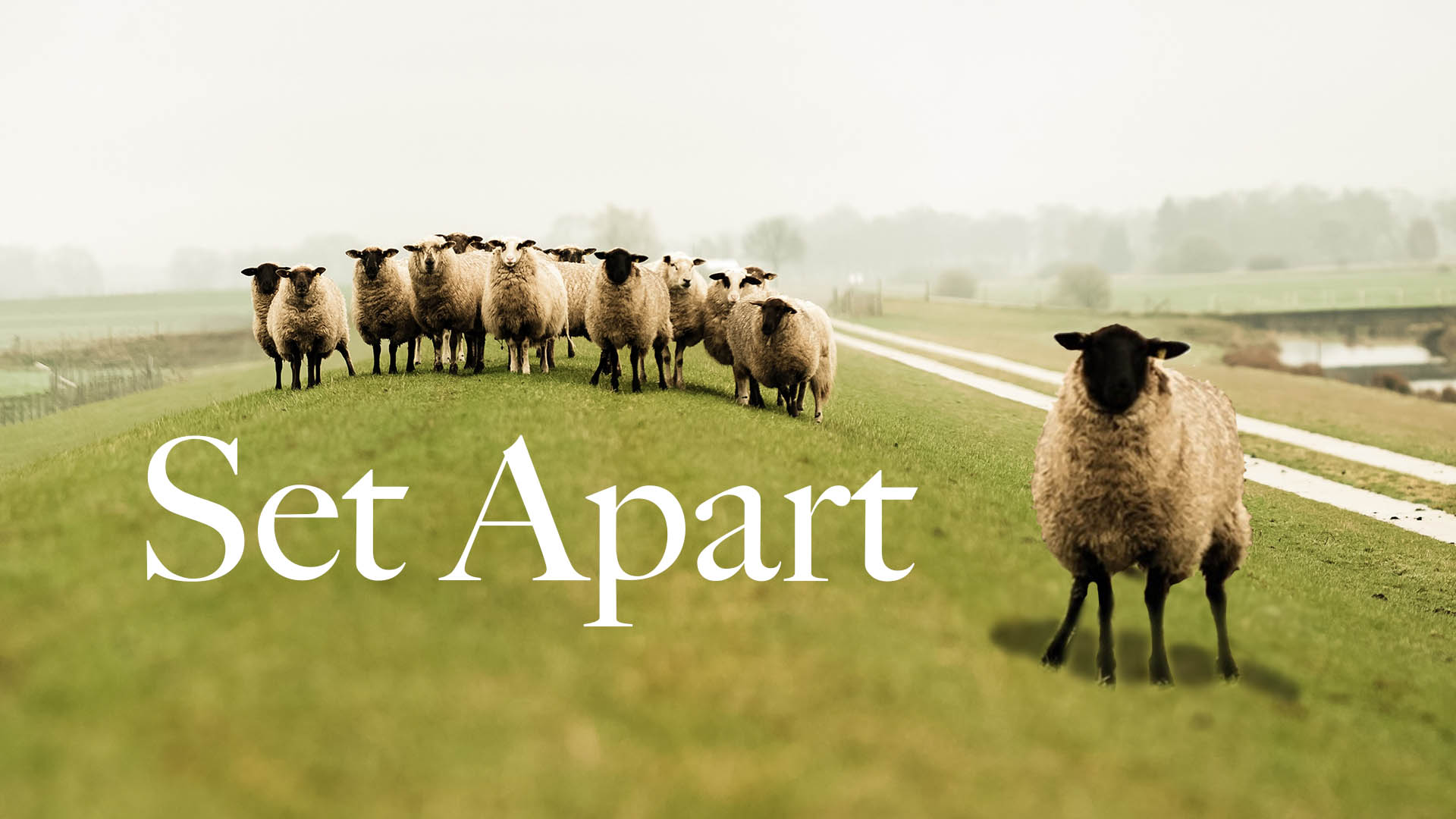 SET APART – Leaving the Edges to Follow Jesus – – Thoughts from the Edges